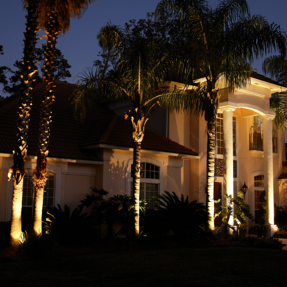 The Impact of Color in Landscape Design - Lights Up Cincy